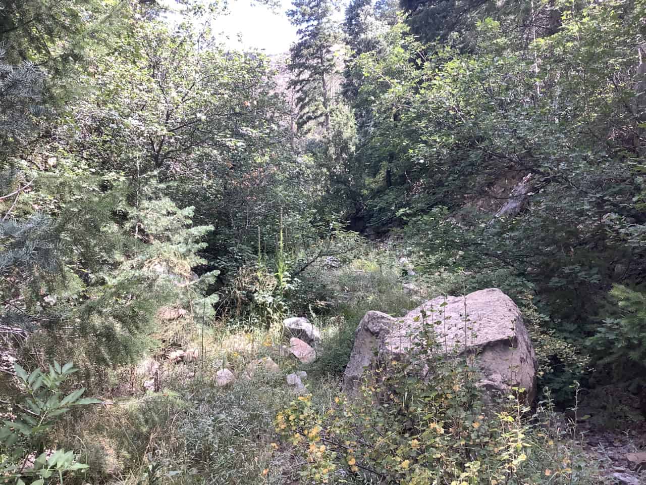 Ford Ridge – Parcel 3 (C-27010) | Trust Lands Administration