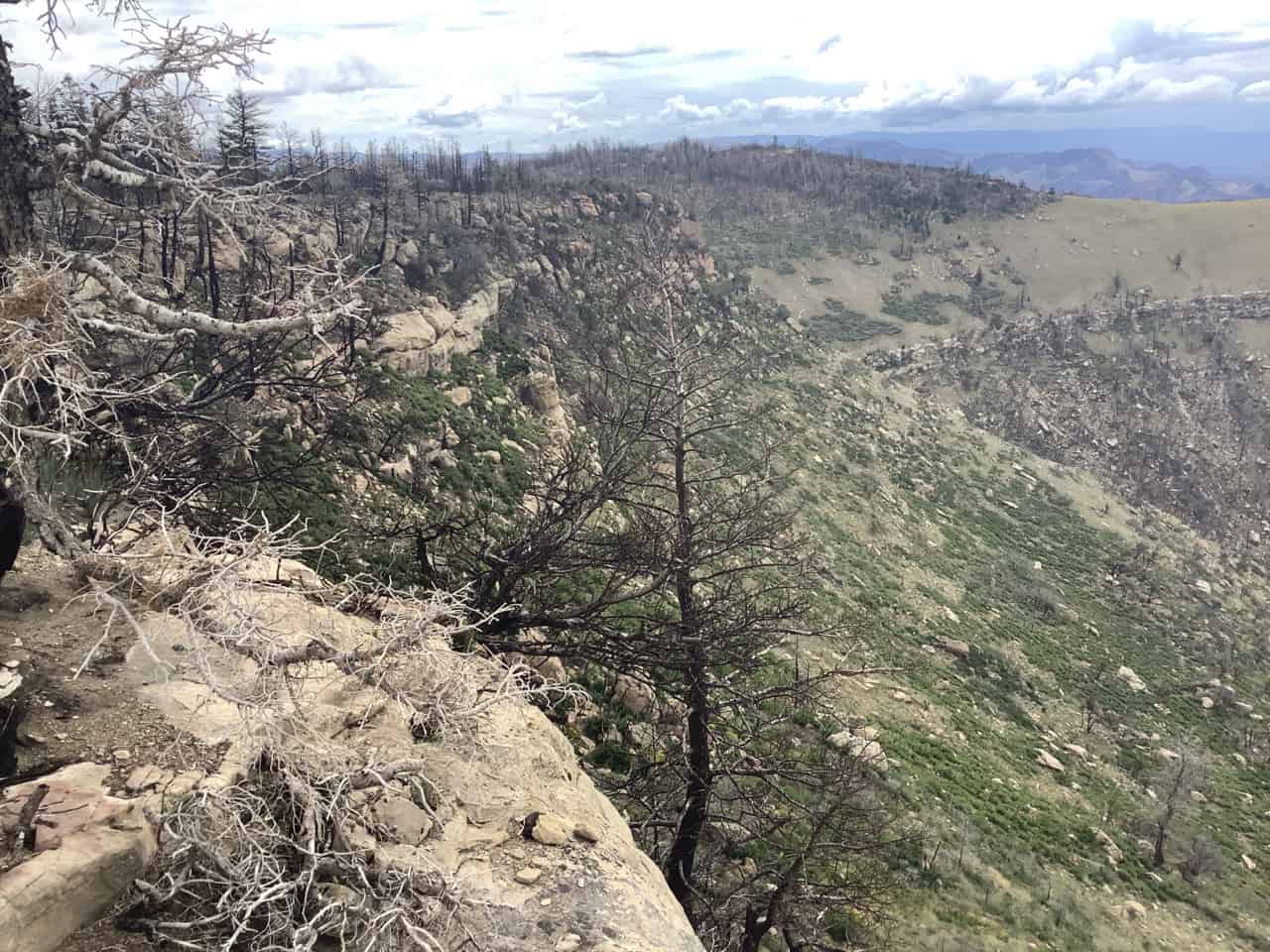 Ford Ridge – Parcel 3 (C-27010) | Trust Lands Administration