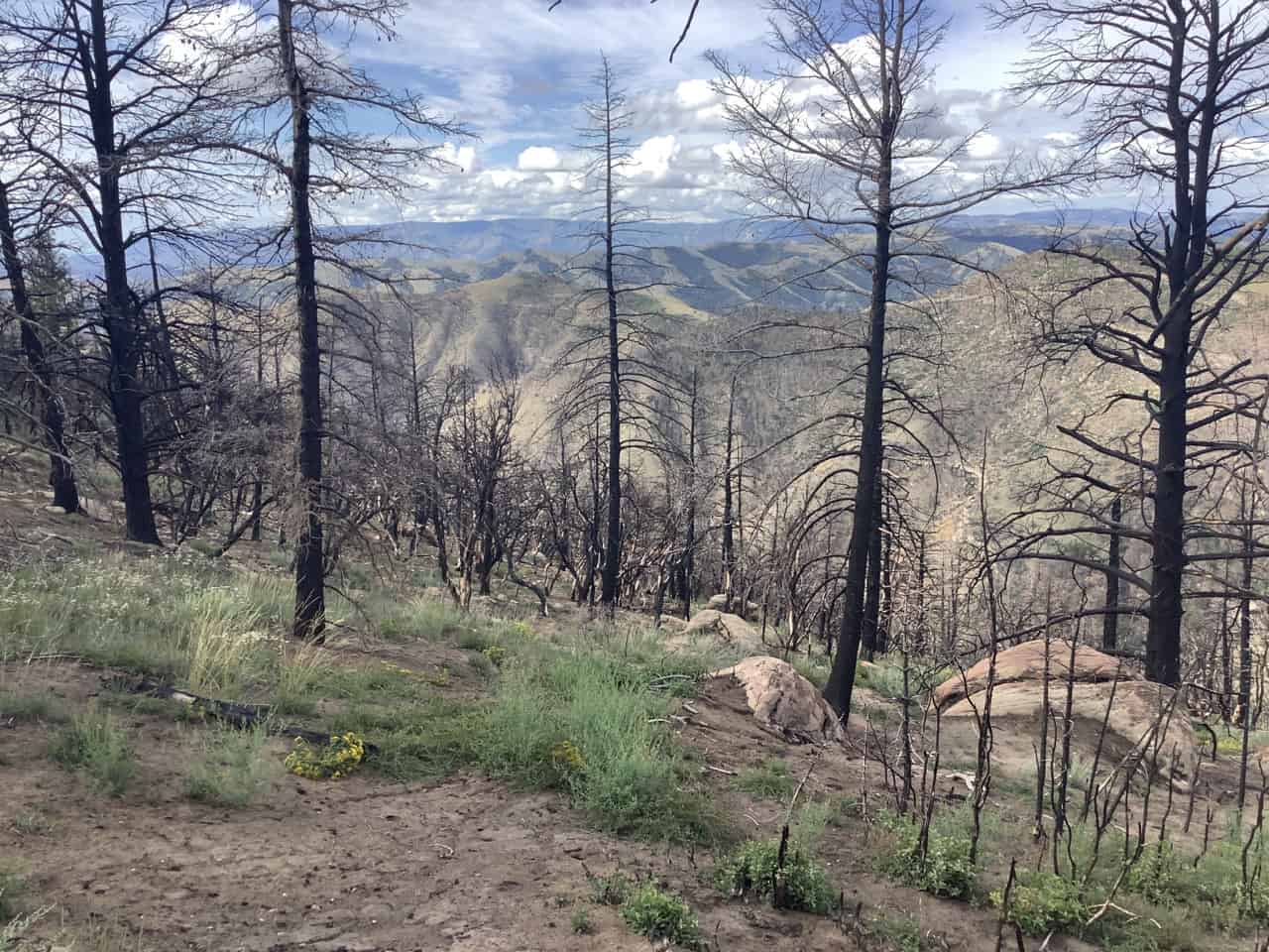 Ford Ridge – Parcel 3 (C-27010) | Trust Lands Administration